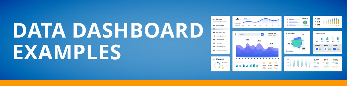 What is a Data Dashboard? Overview, Tips, Software, & Examples - Datateer