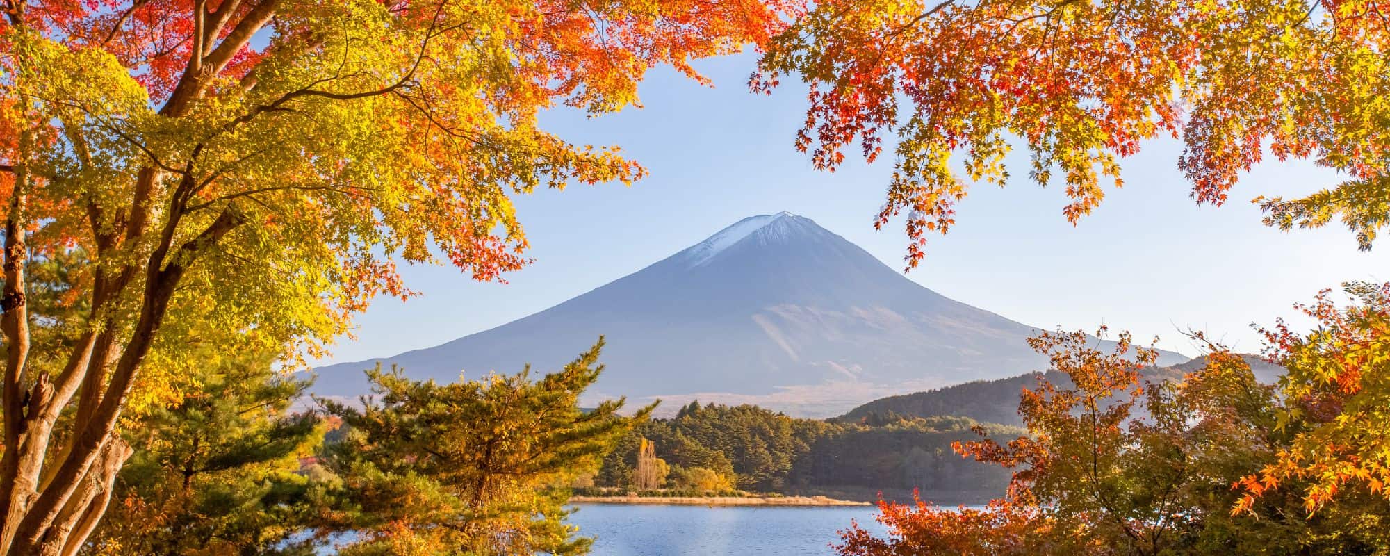 Partner Spotlight on No-Code, Low-Code Dashboards | Datateer